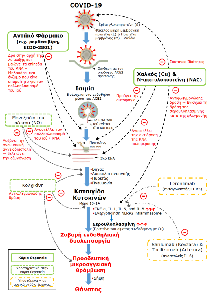 O ΠΙΘΑΝΟΣ ΡΟΛΟΣ ΤΟΥ ΧΑΛΚΟΥ ΚΑΙ ΤΗΣ N-ΑΚΕΤΥΛΟΚΥΣΤΕΪΝΗΣ (NAC) ΣΕ ...